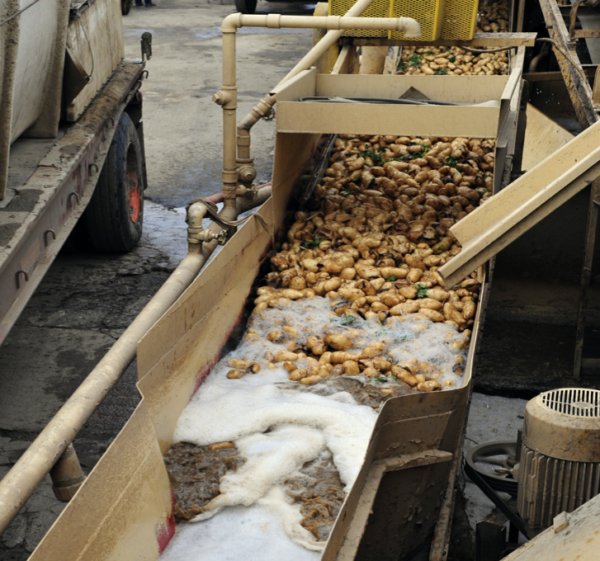 Food & Beverage Processing Washing – Wash Bay Solutions International ...