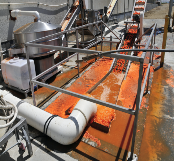 Food & Beverage Processing Washing – Wash Bay Solutions International ...